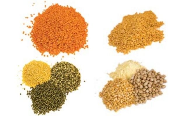 Take the Pulses on India - Sivananda Yoga Vedanta Centres